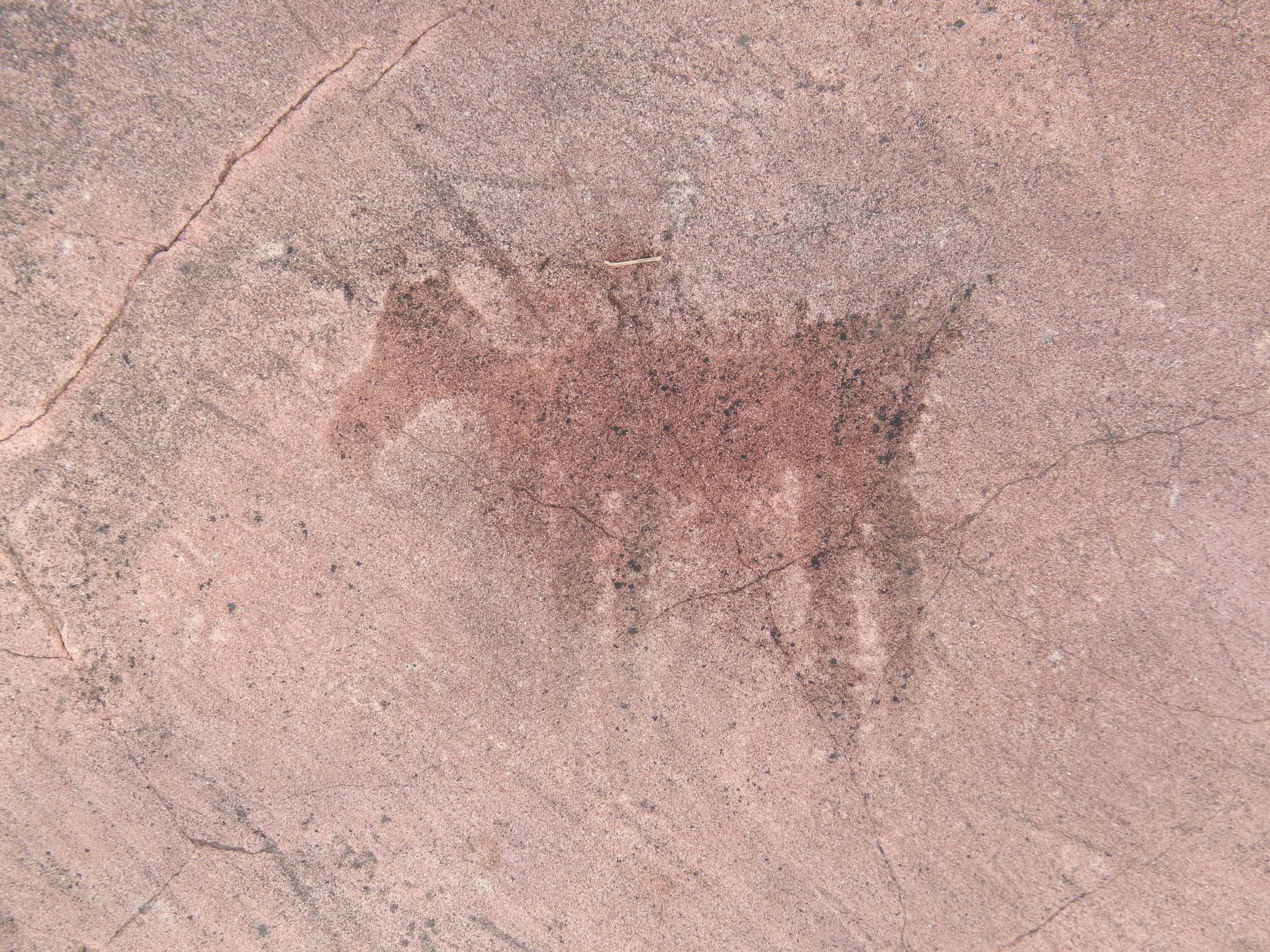 Jeffers Petroglyphs site reopens | News, Sports, Jobs - The Journal